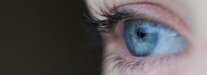 C'est quoi, la macula de l'oeil ? - OPHTABUS